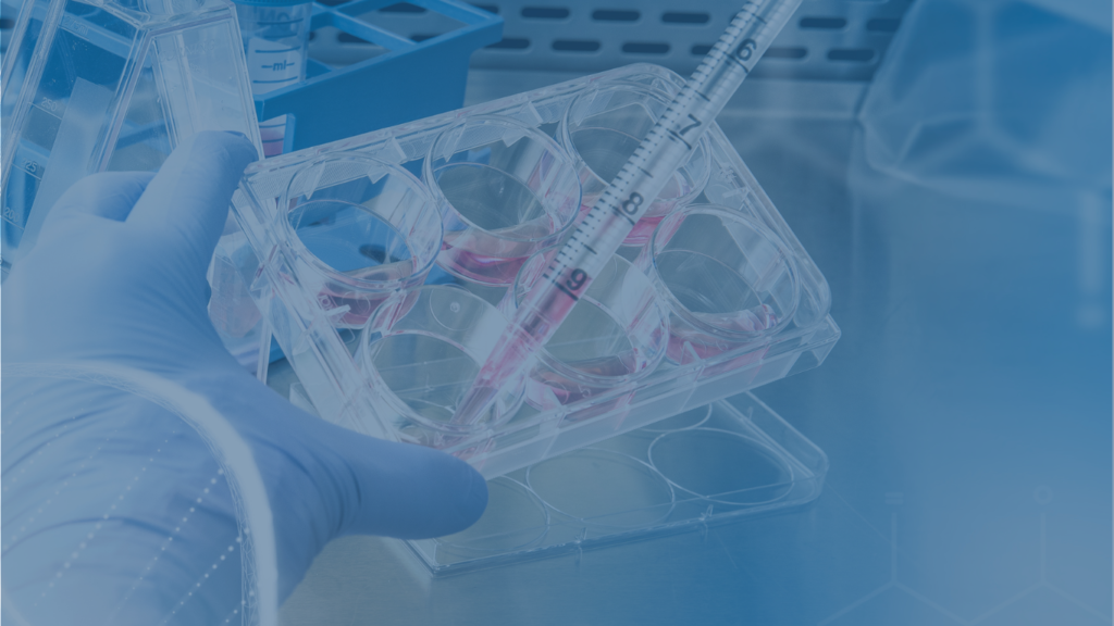 TecEx Medical | IOR & Compliance Specialist